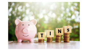 Tax Identification Numbers (TINs): UK companies