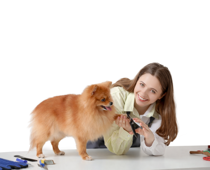 Domains Archives - Duport Blog